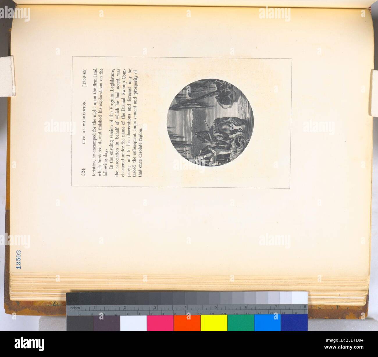 Washington lake drummond dismal swamp hi-res stock photography and ...