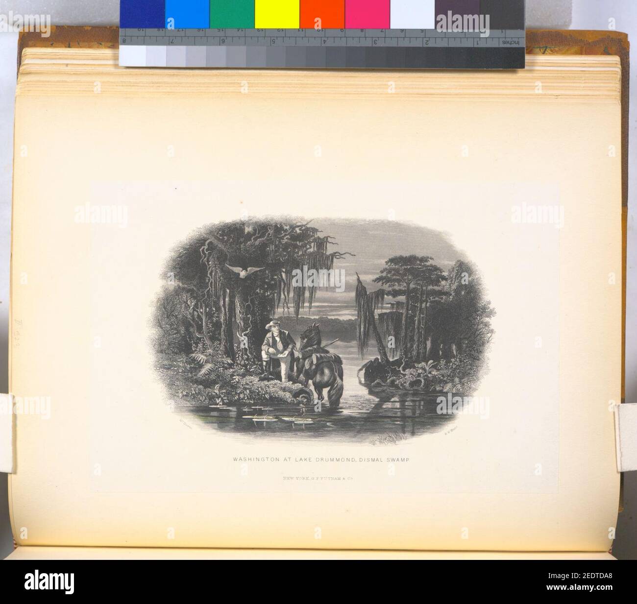 Washington at Lake Drummond, Dismal Swamp Stock Photo - Alamy