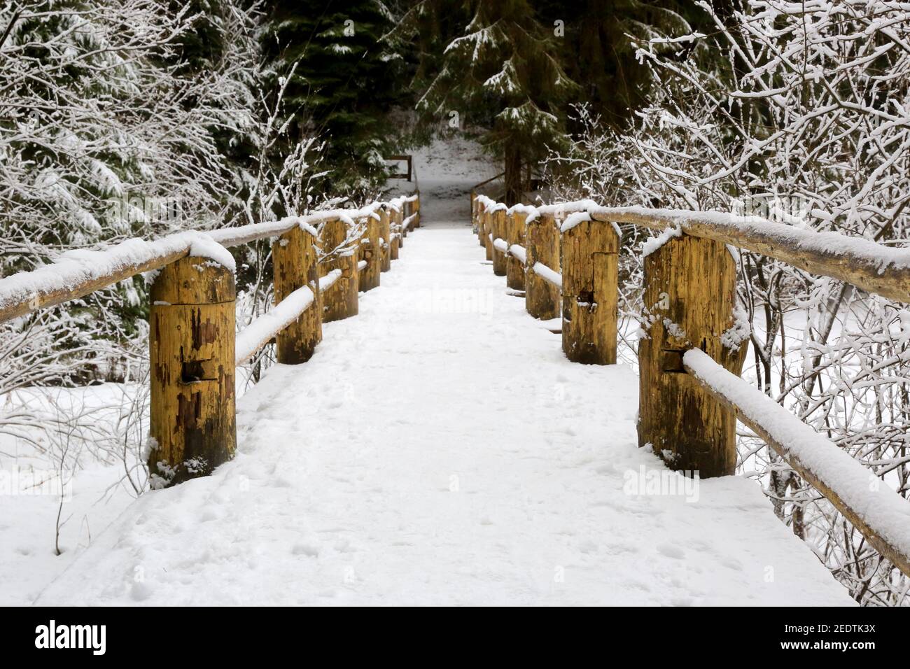 Railing fence wooden bridge in hi-res stock photography and images - Alamy