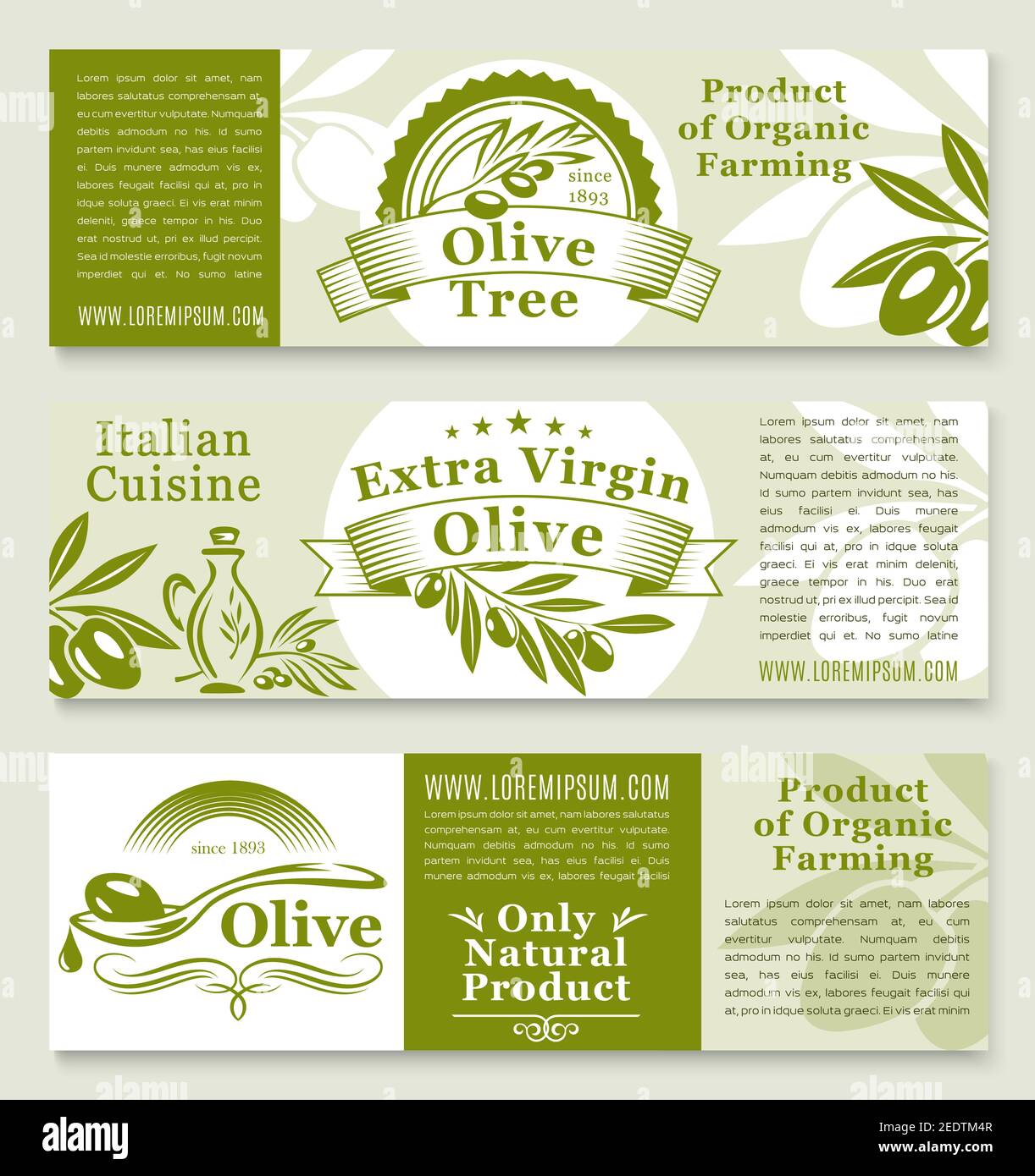 Olive oil product banners templates. Fresh green olive fruits nutrition ...