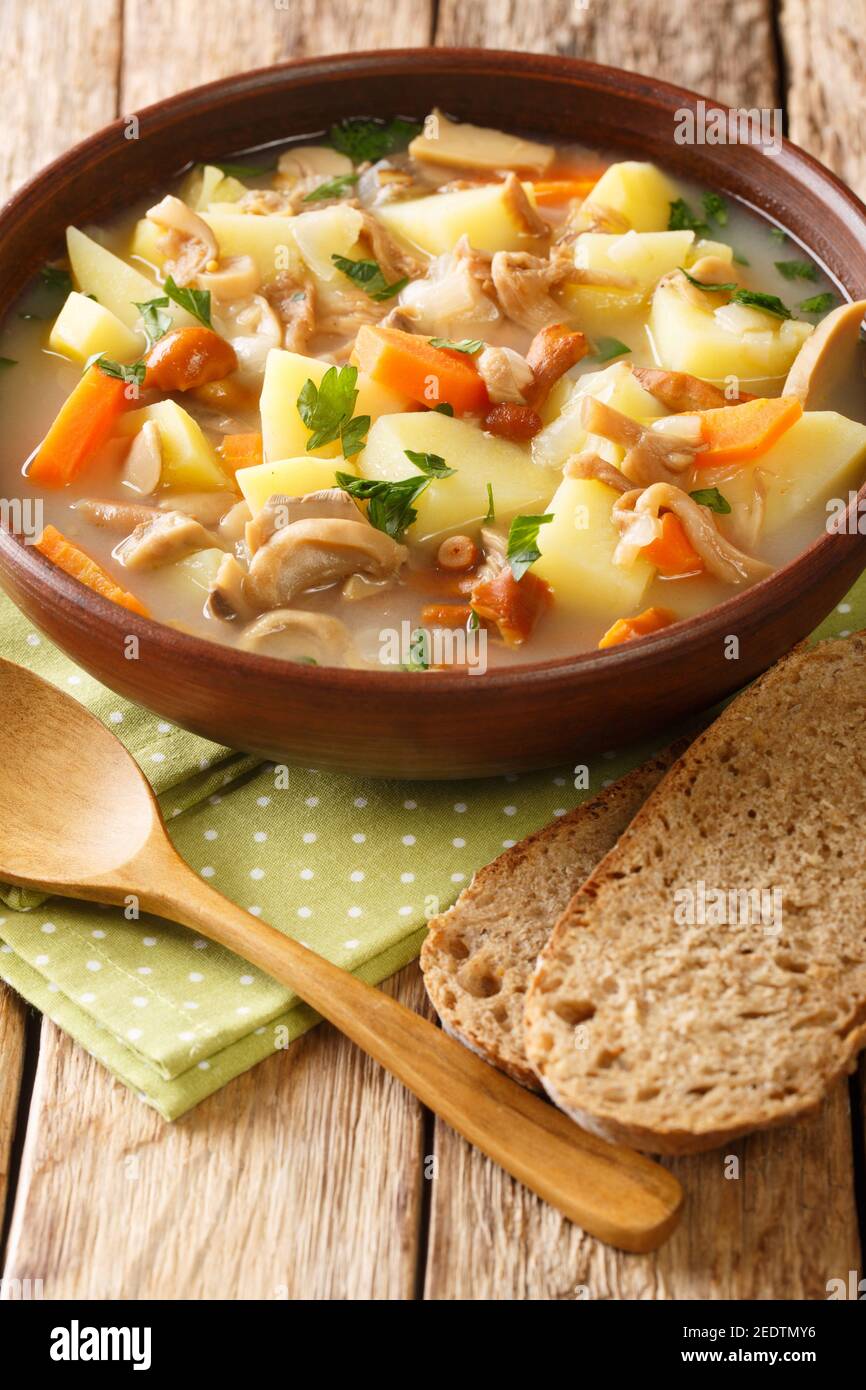 Bramboracka Czech Soup with Wild Forrest Mushrooms served with bread ...