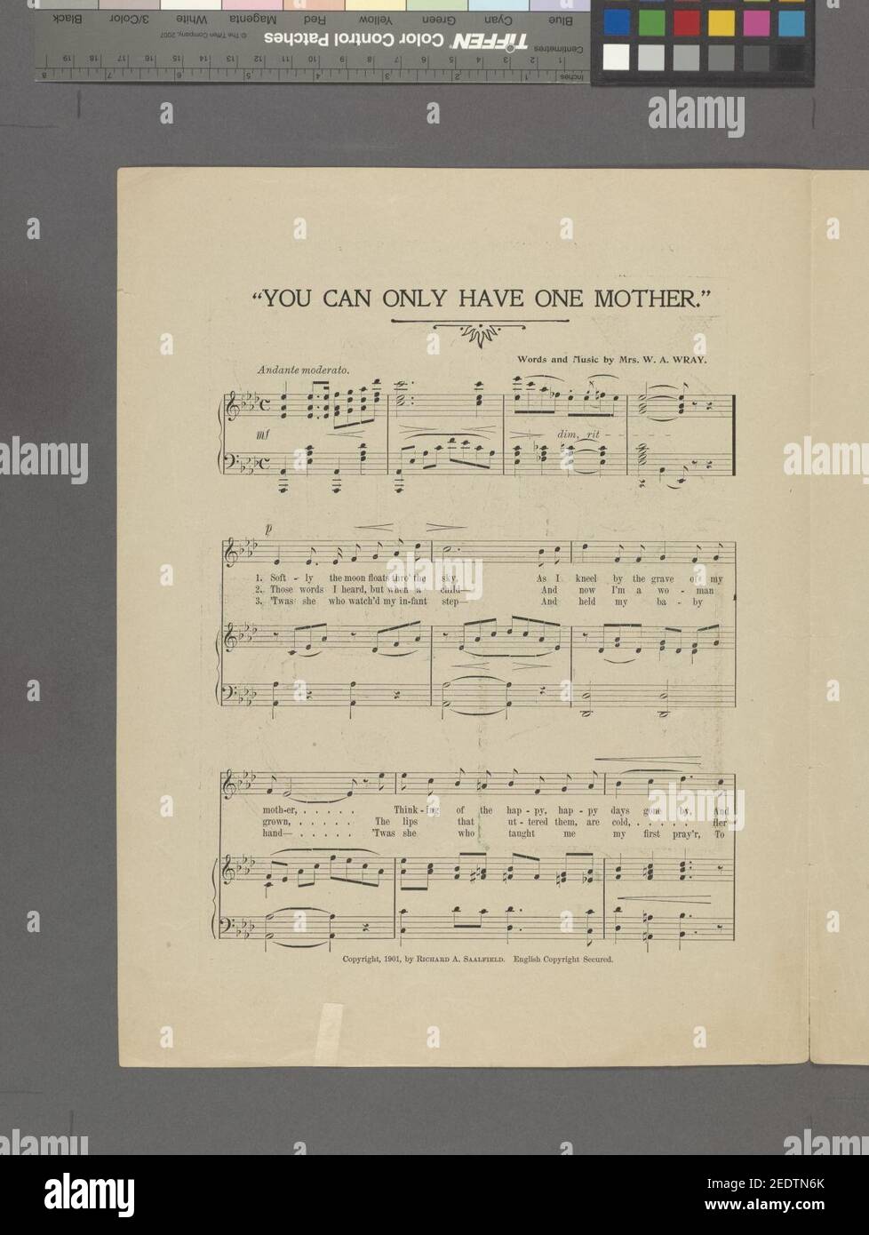 You can only have one moather Stock Photo - Alamy