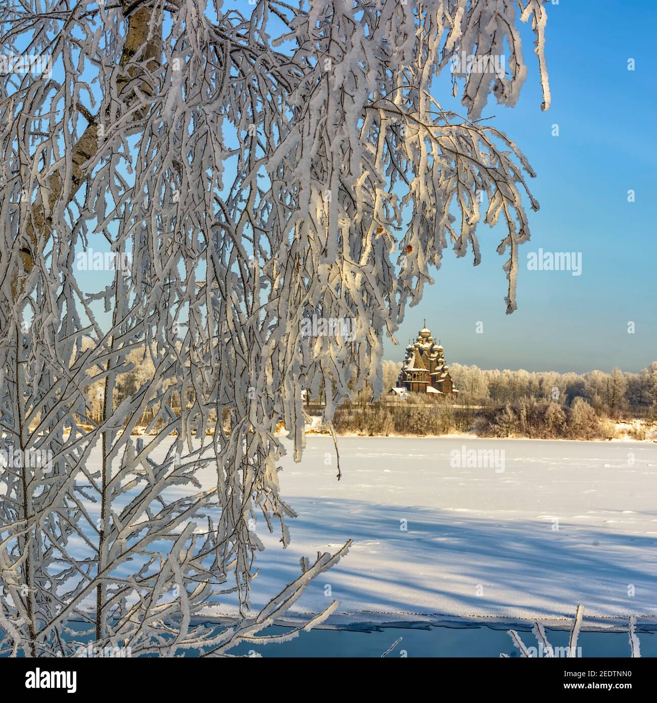 Boor tree hi-res stock photography and images - Alamy