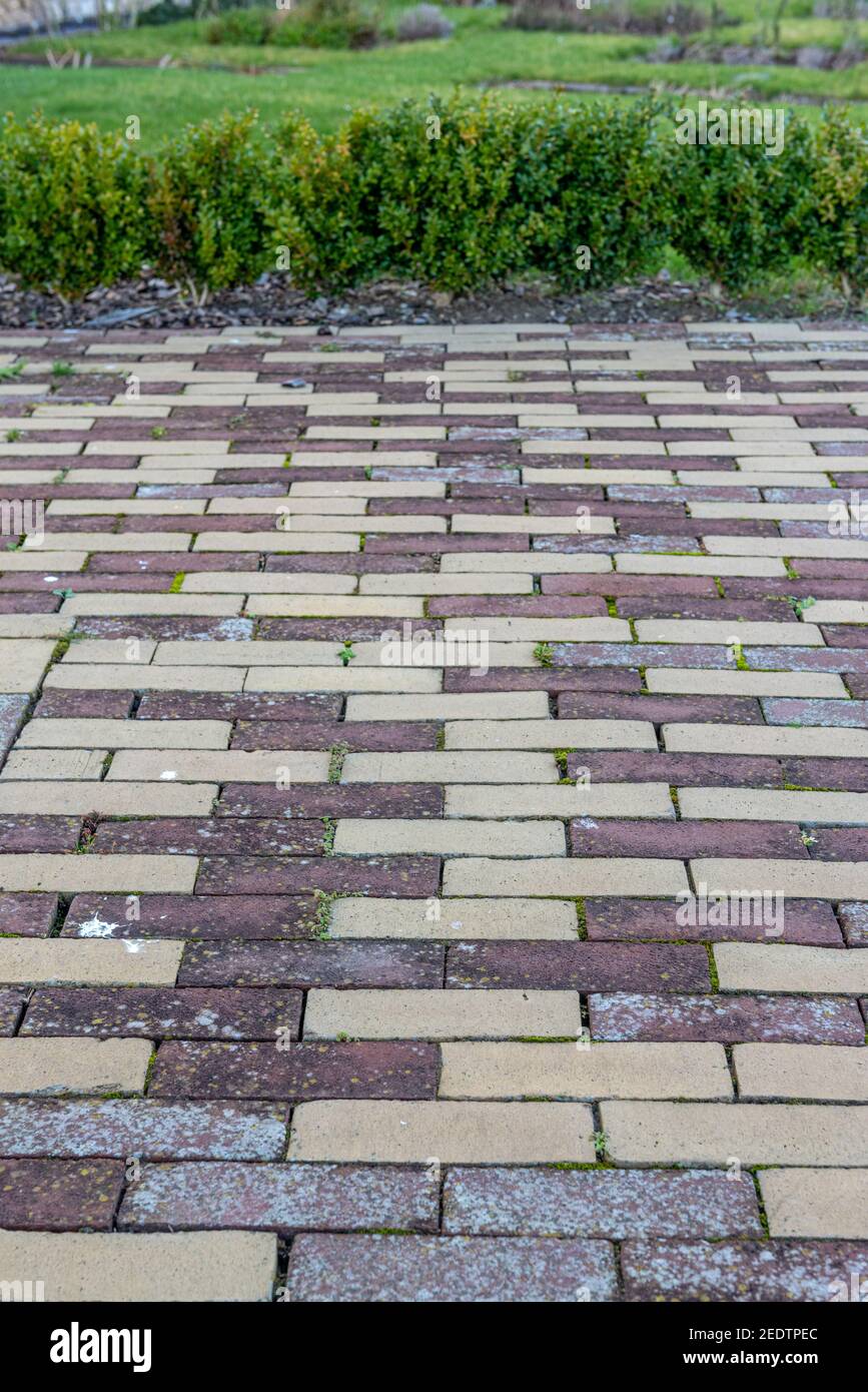 Cobblestone path in a garden Stock Photo - Alamy
