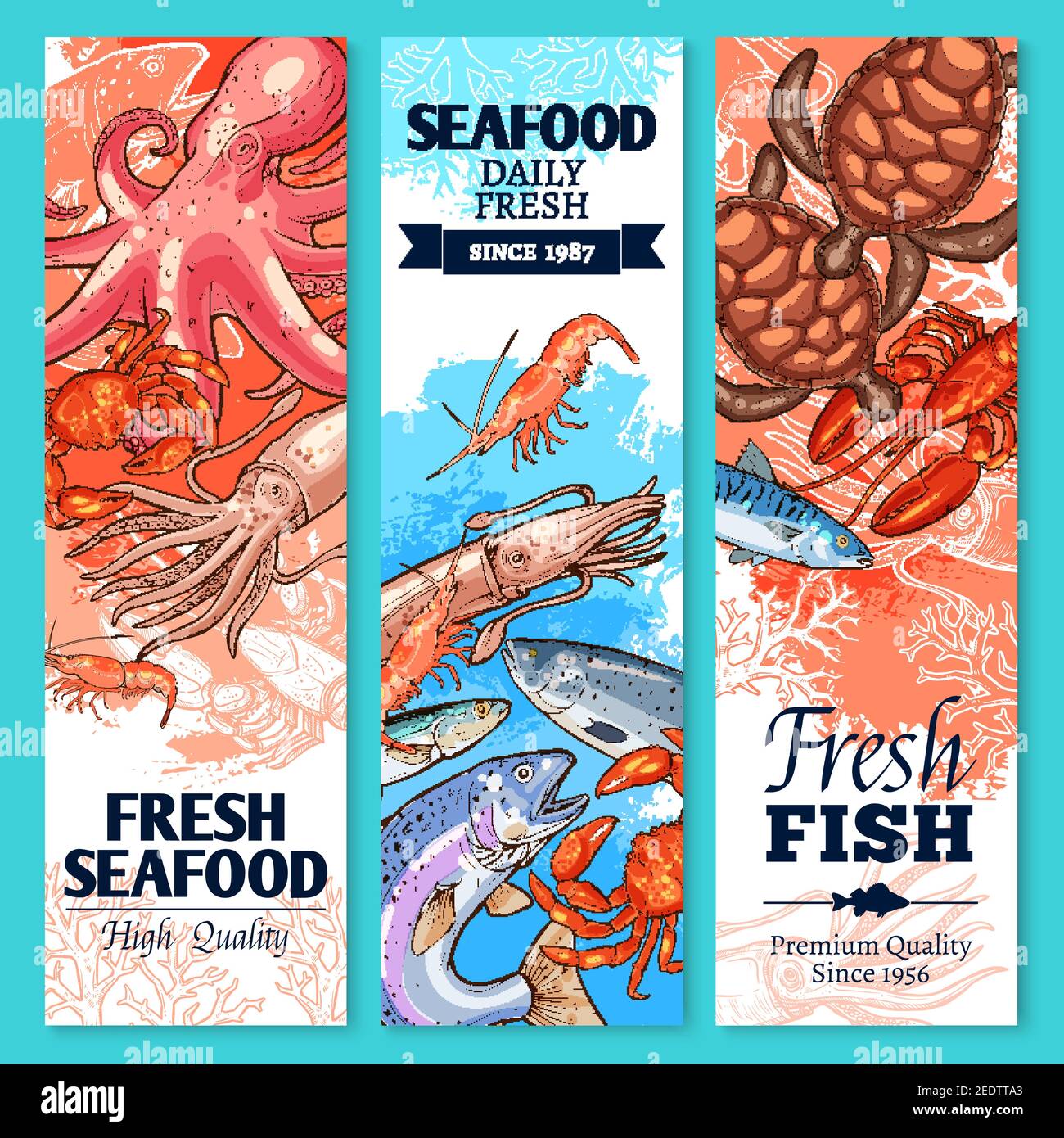 Fish and seafood sketch banner set. Fresh crab, salmon, shrimp, lobster ...