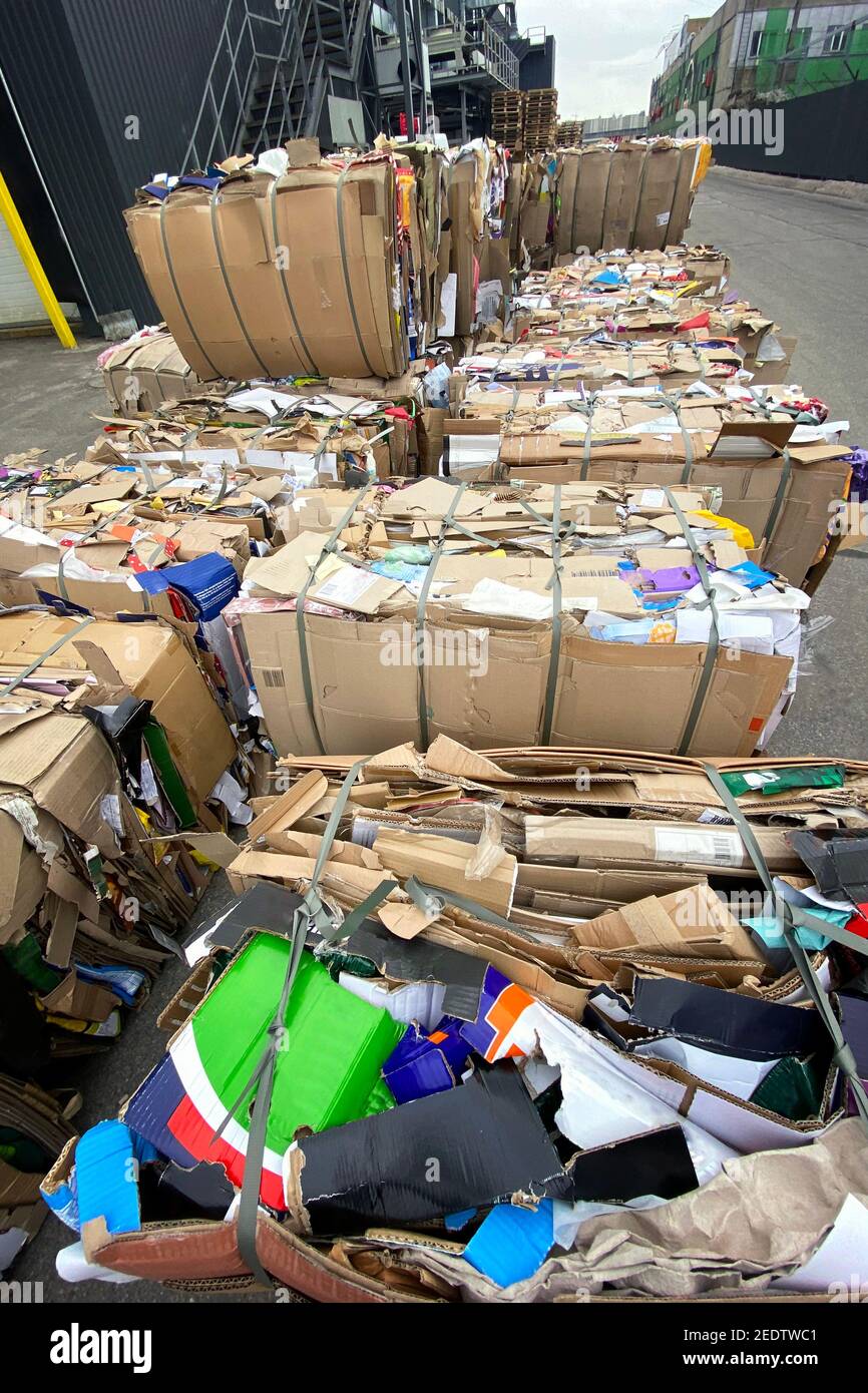 Cardboard and waste paper is collected and packaged for recycling ...