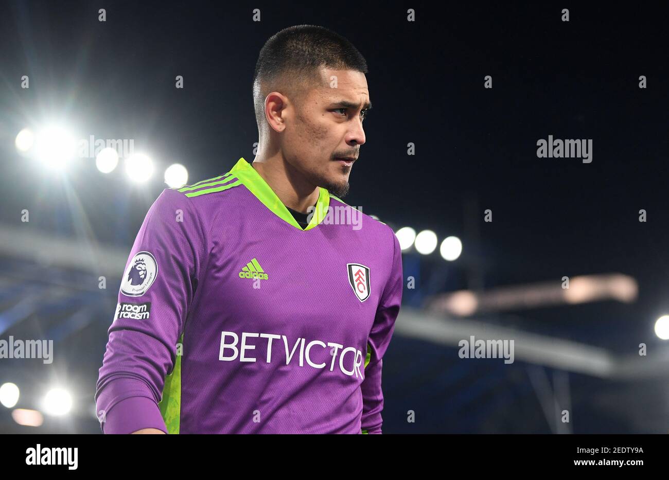 Fulham goalkeeper Alphonse Areola during the Premier League match at ...