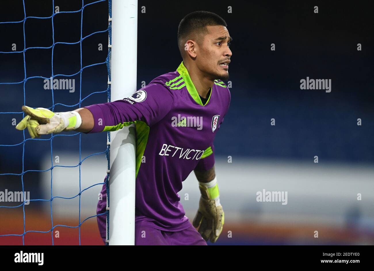 Fulham goalkeeper Alphonse Areola during the Premier League match at ...