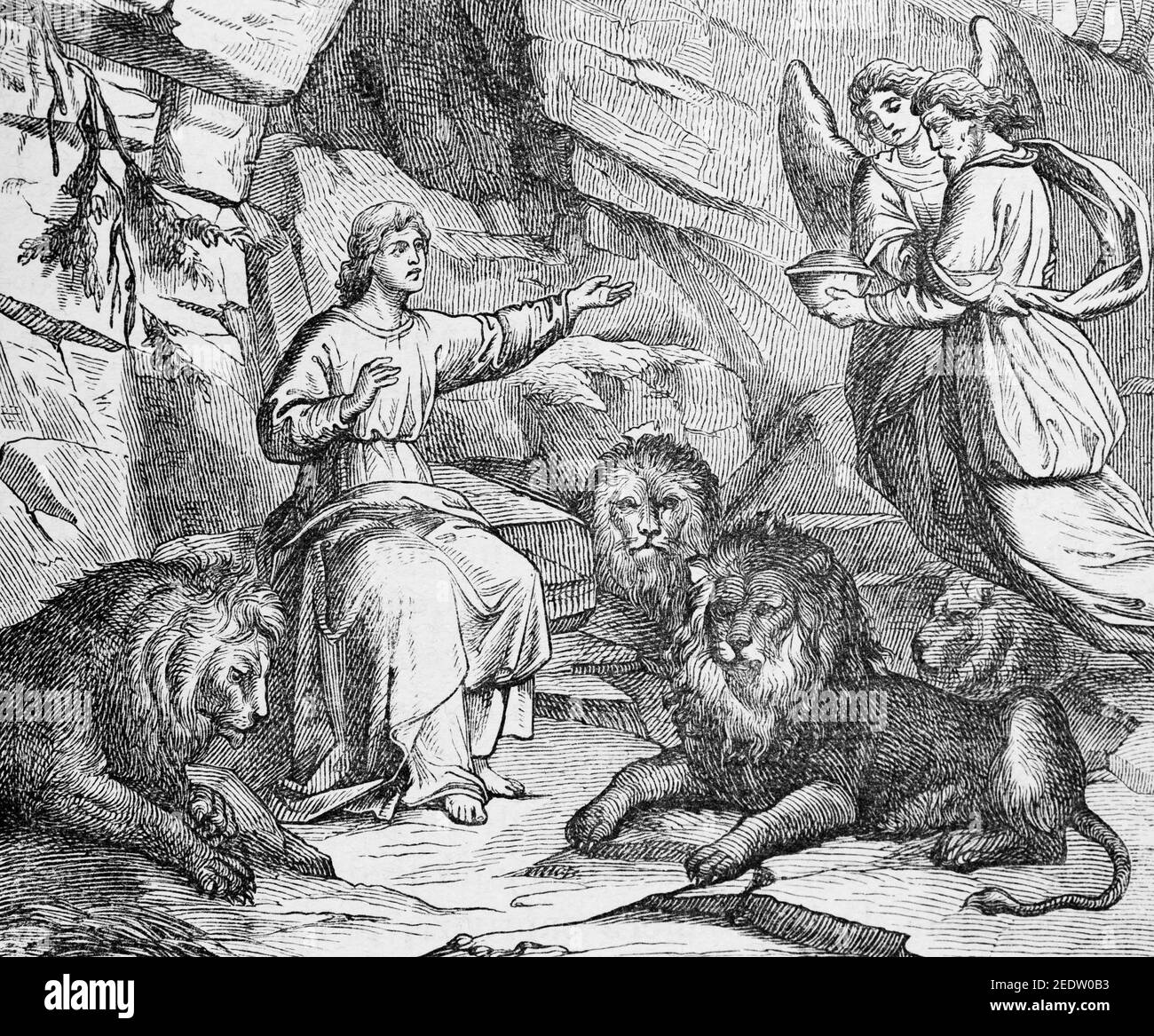 Daniel in the den of lions, Old Testamnet, Historic bible Histoire ...