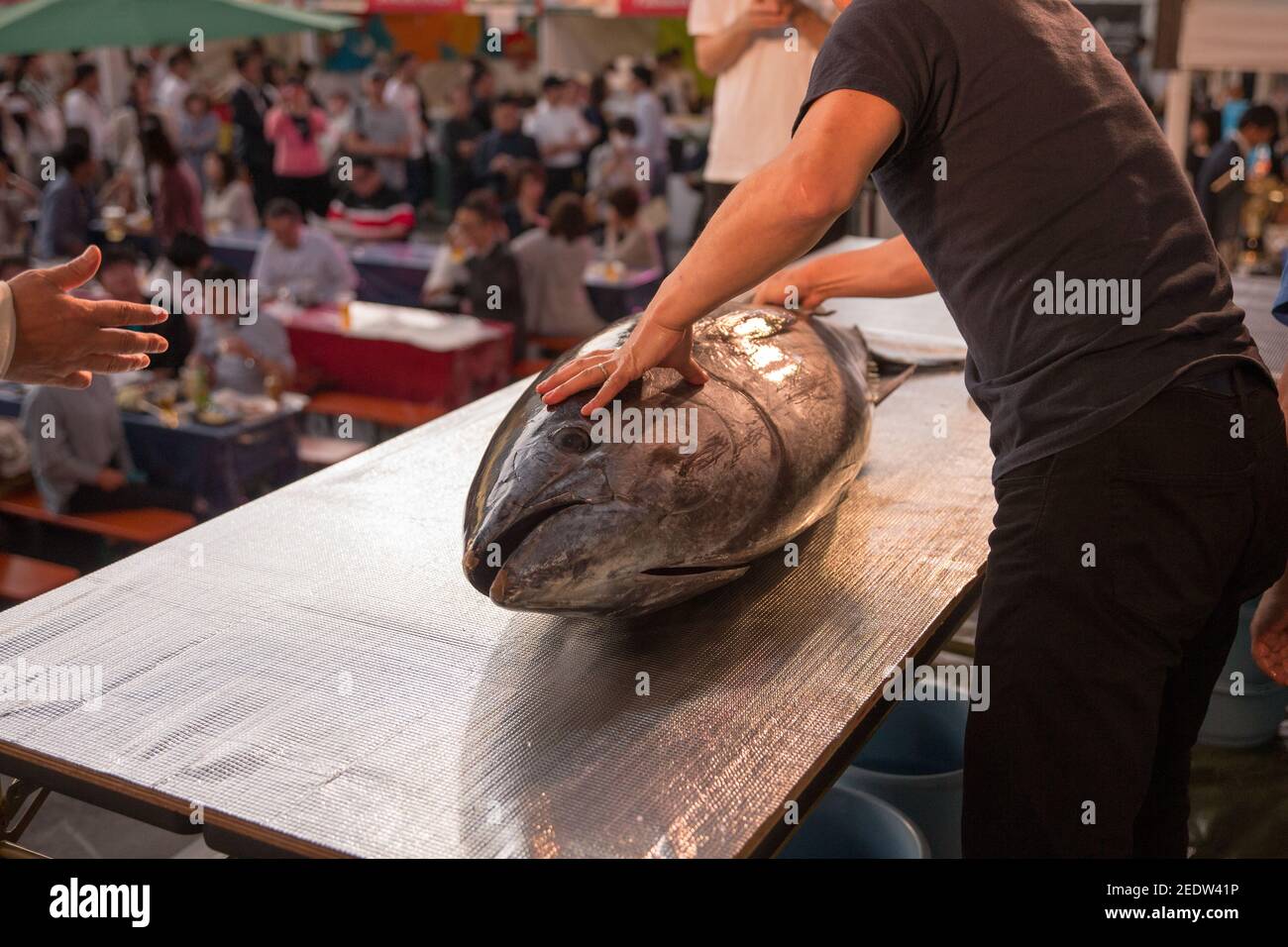 Japanese tuna dismantling show held at Hakata Station Stock Photo - Alamy