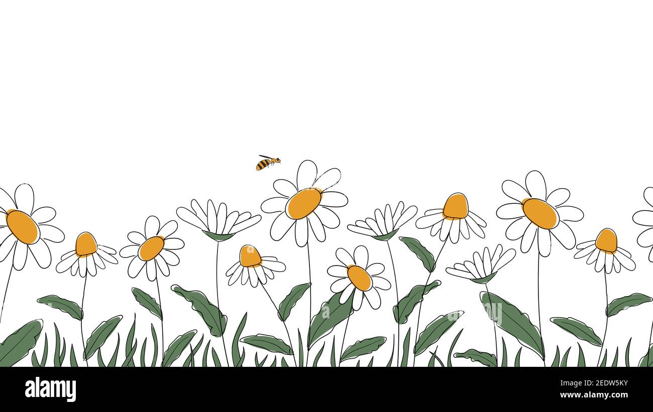 Seamless border of daisies hand drawn in simplified children cartoon ...