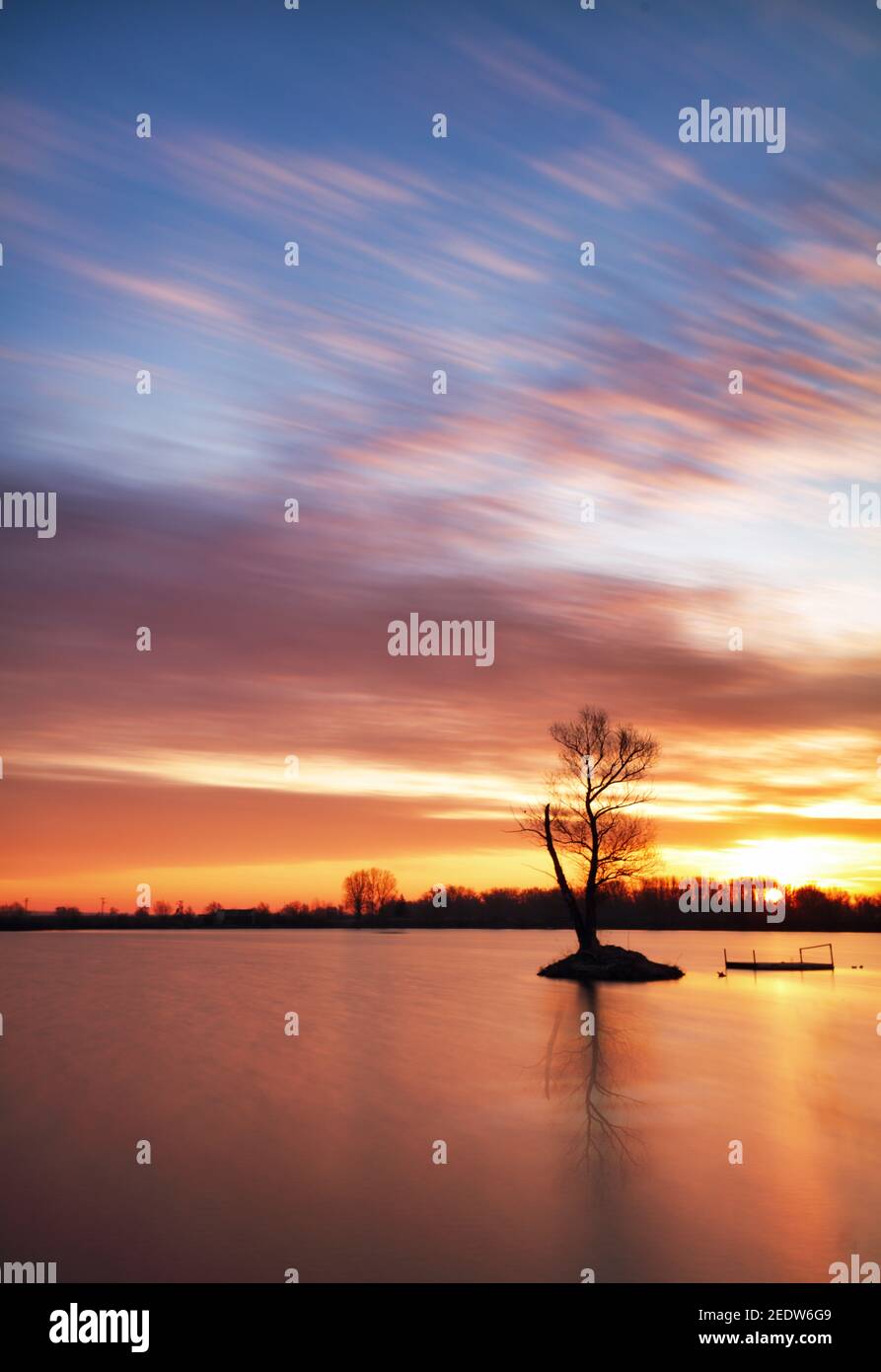 Pond at sunset with silhouette tree, water landscape Stock Photo - Alamy