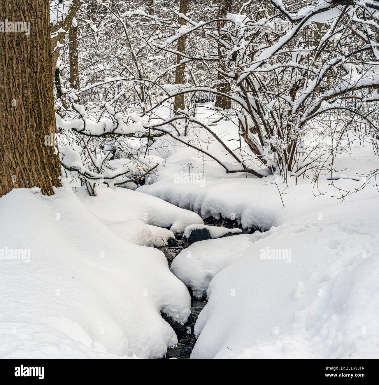 Central Park in winter after snow storm Stock Photo - Alamy