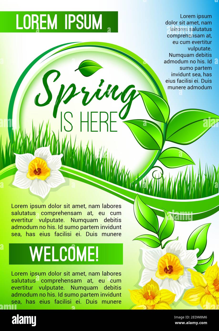 Spring is here vector poster for springtime holiday design of flowers ...