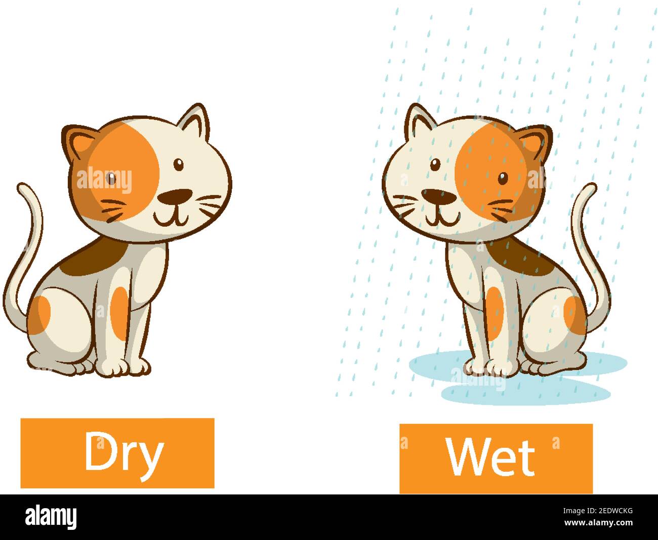 Opposite adjectives words with dry and wet illustration Stock Vector ...