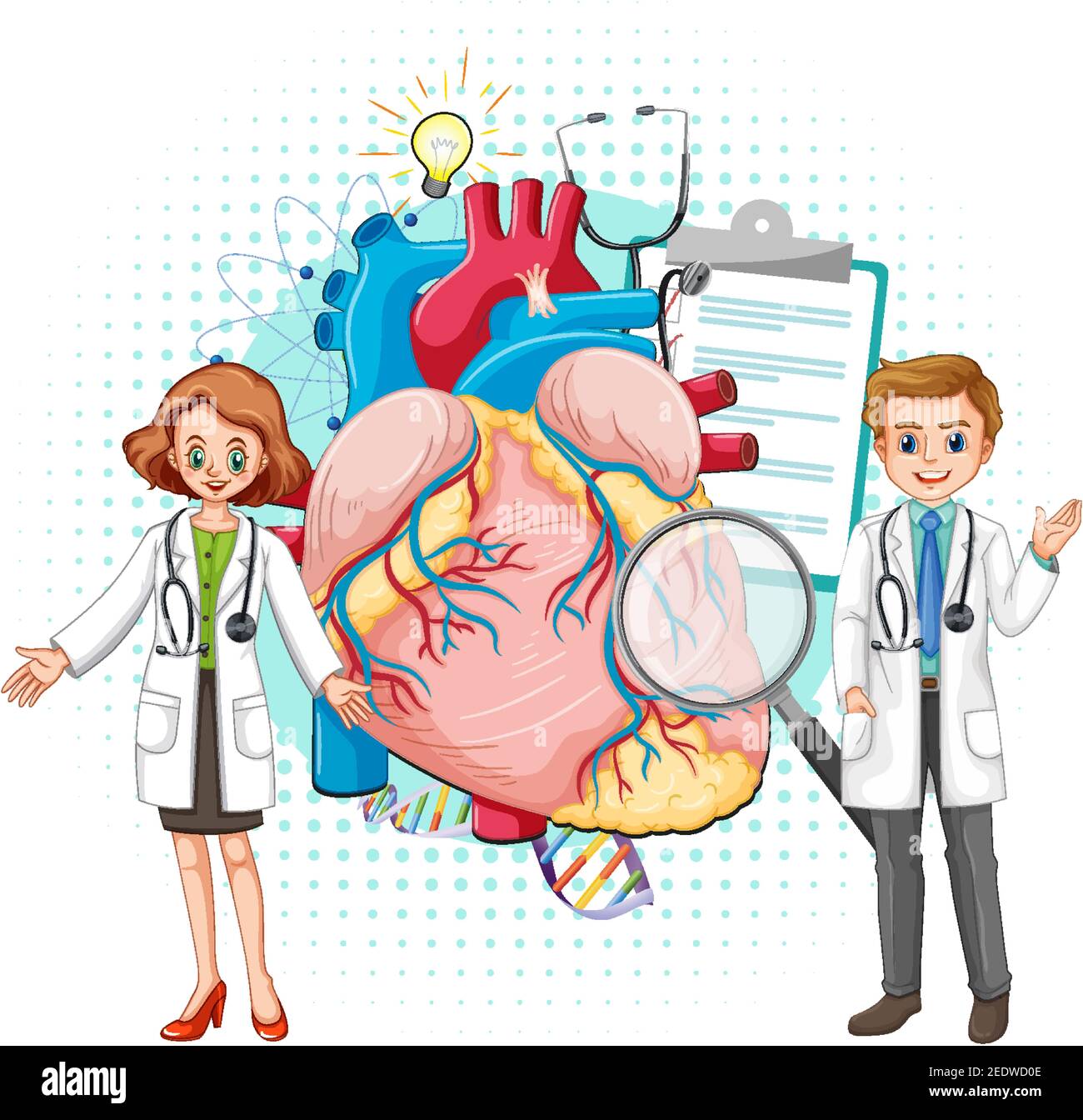 Doctor and human heart on white background illustration Stock Vector ...