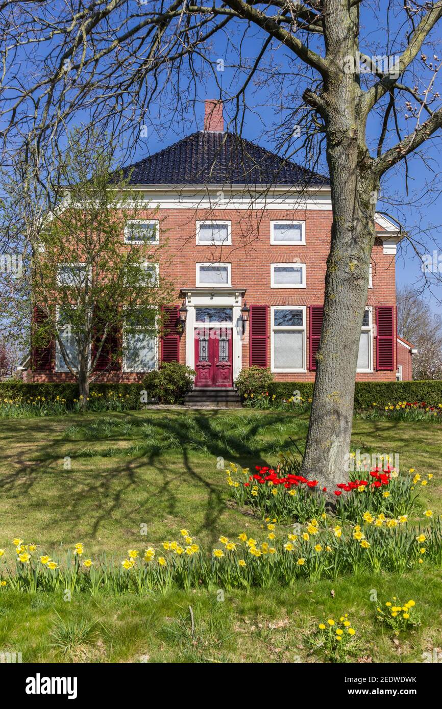 Colorful flowers in front of an old farm in Oostwold, Netherlands Stock ...