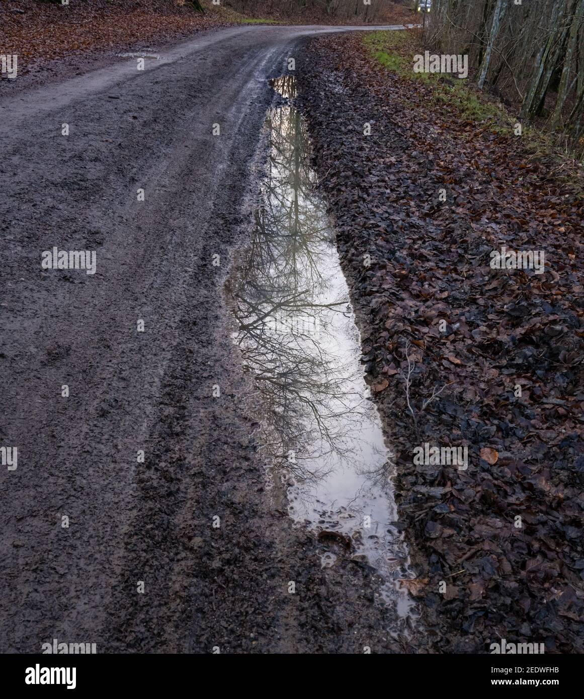 Reflection in mud puddle hi-res stock photography and images - Alamy