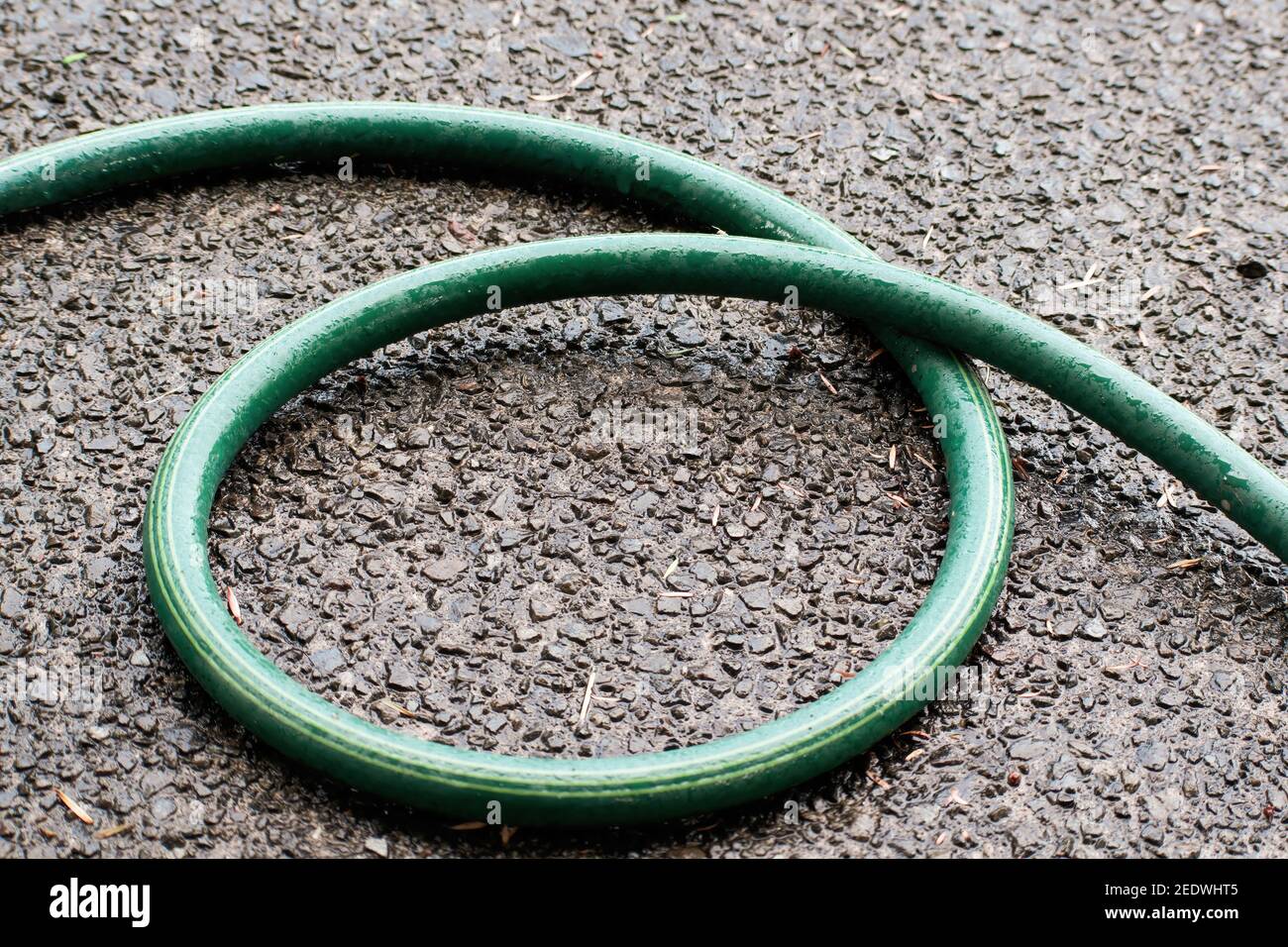 green plastic garden hose coiled on concrete driveway Stock Photo - Alamy