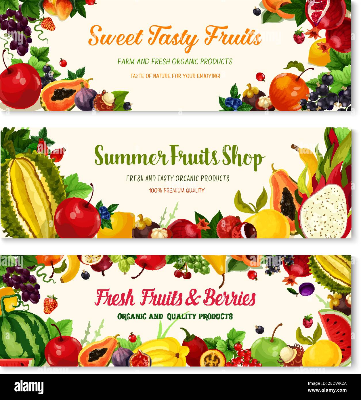 Fruits and berries banners for farmer market shop. Vector harvest of ...