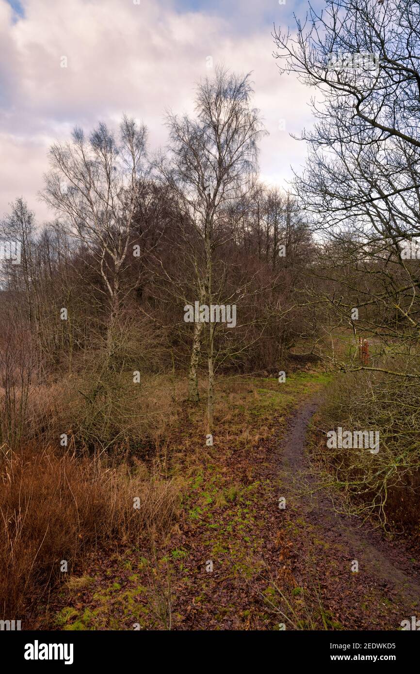 A nature trail with a beautiful sky in the background. Picture from ...
