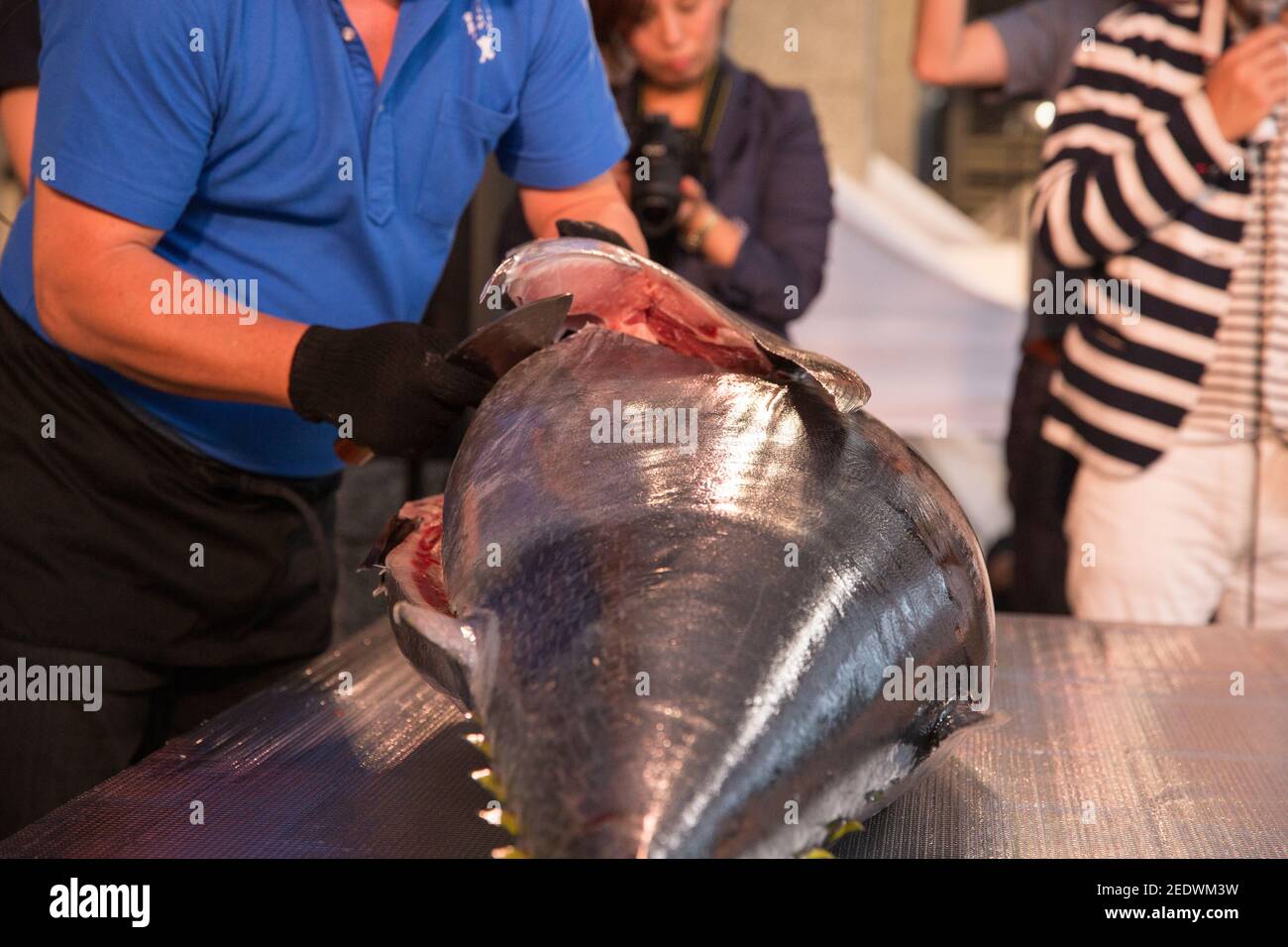 Japanese tuna dismantling show held at Hakata Station Stock Photo - Alamy