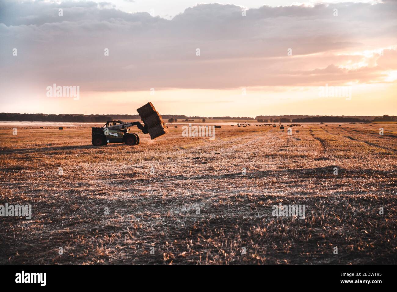 Loading of straw on the car in the field Stock Photo - Alamy