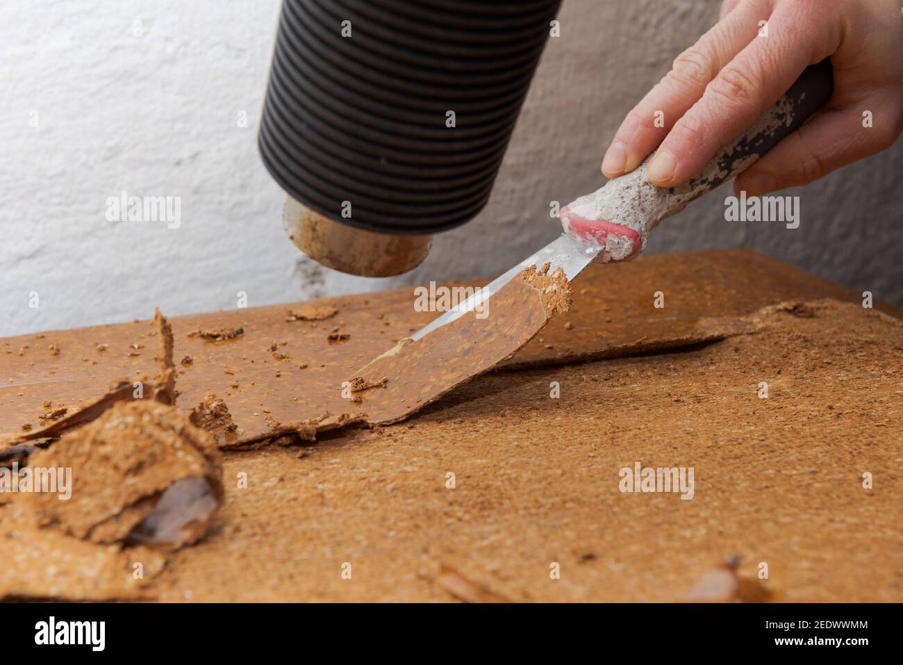 Human hand with scraper and hot air blower scraping off old surface of ...