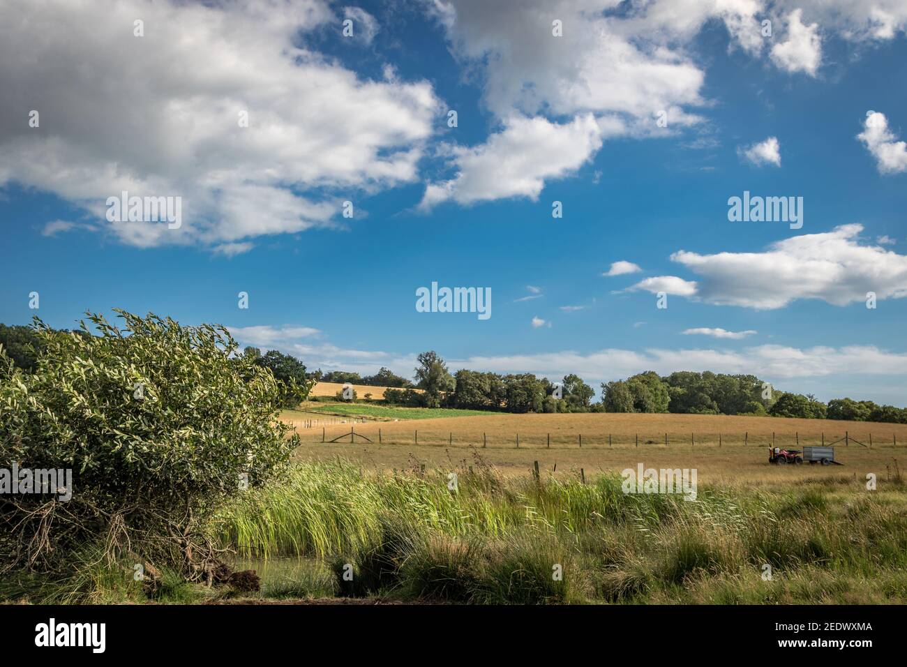 English farmland hedge hi-res stock photography and images - Alamy