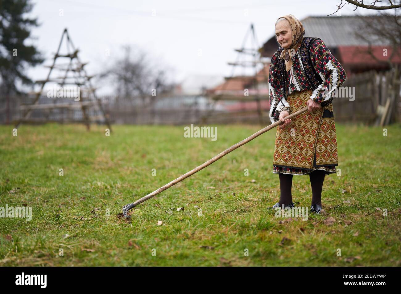 Old farmer woman in national costume spring cleaning her backyard with ...