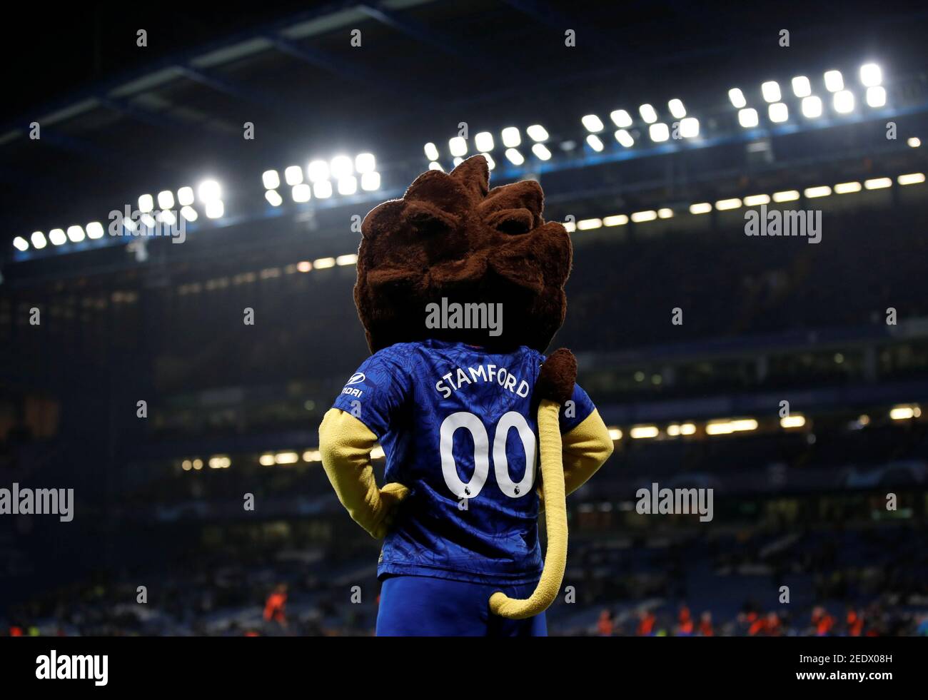 Chelsea mascot stamford lion hi-res stock photography and images - Alamy