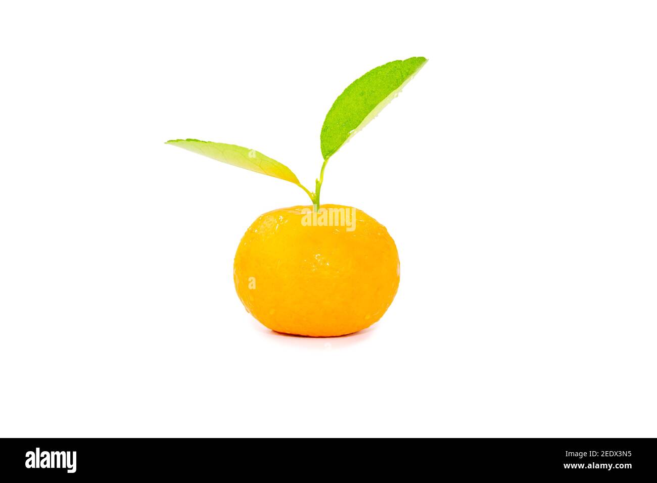 Fresh yellow orange isolated on white background Stock Photo - Alamy