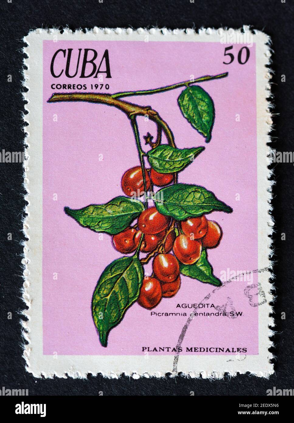 Old vintage Cuban postal stamps Stock Photo - Alamy
