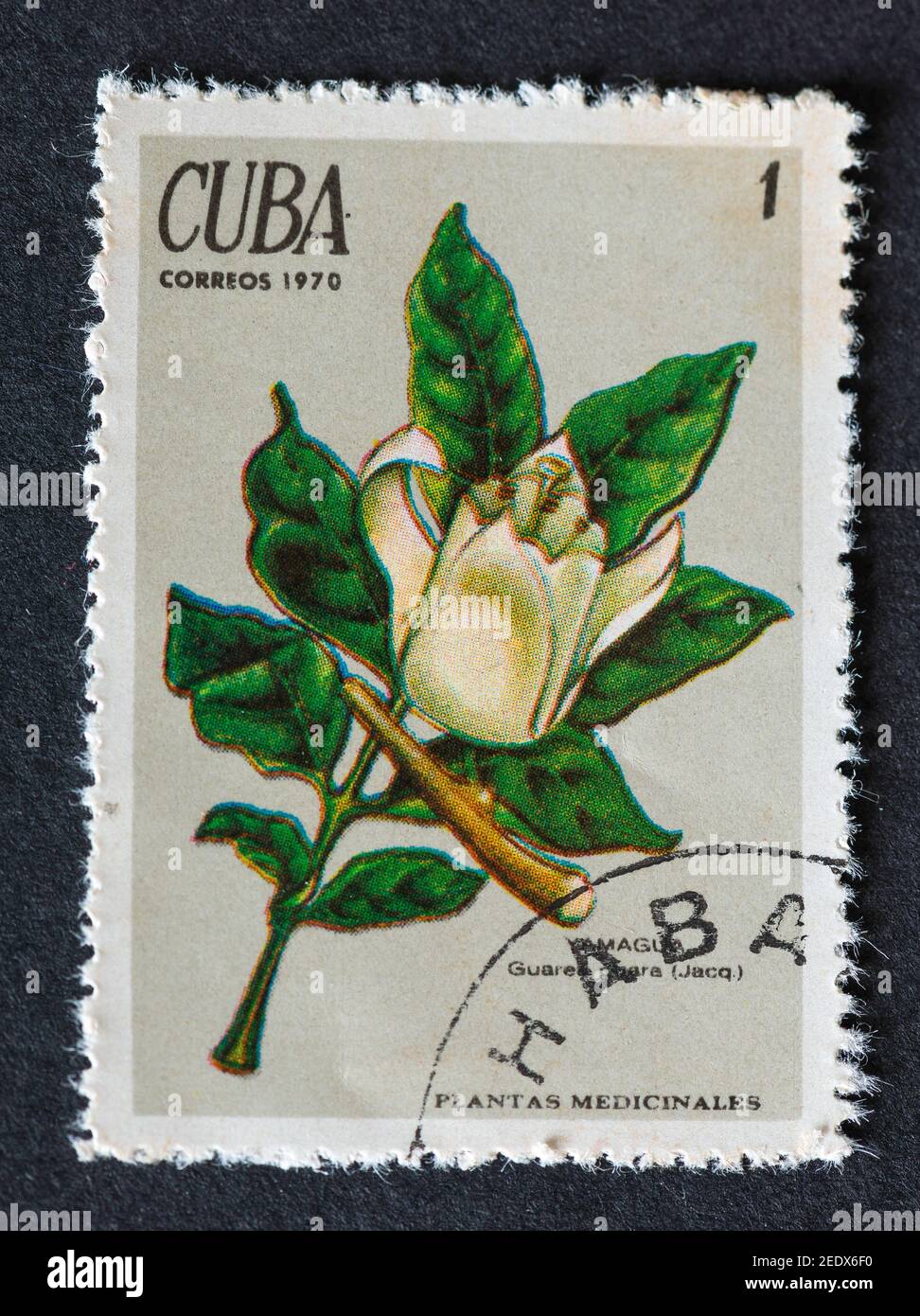 Old vintage Cuban postal stamps Stock Photo - Alamy