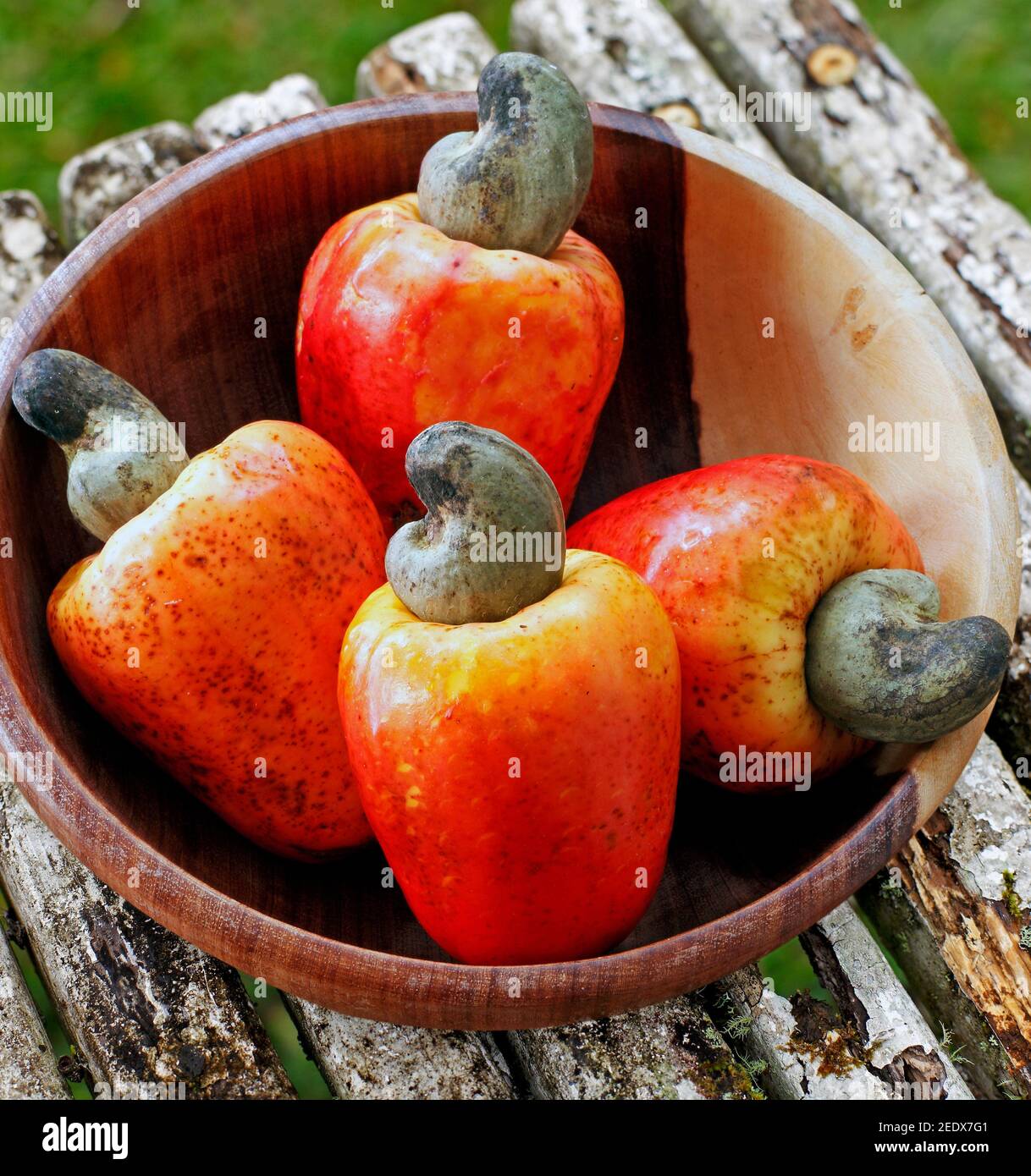 Caju brazil hi-res stock photography and images - Alamy