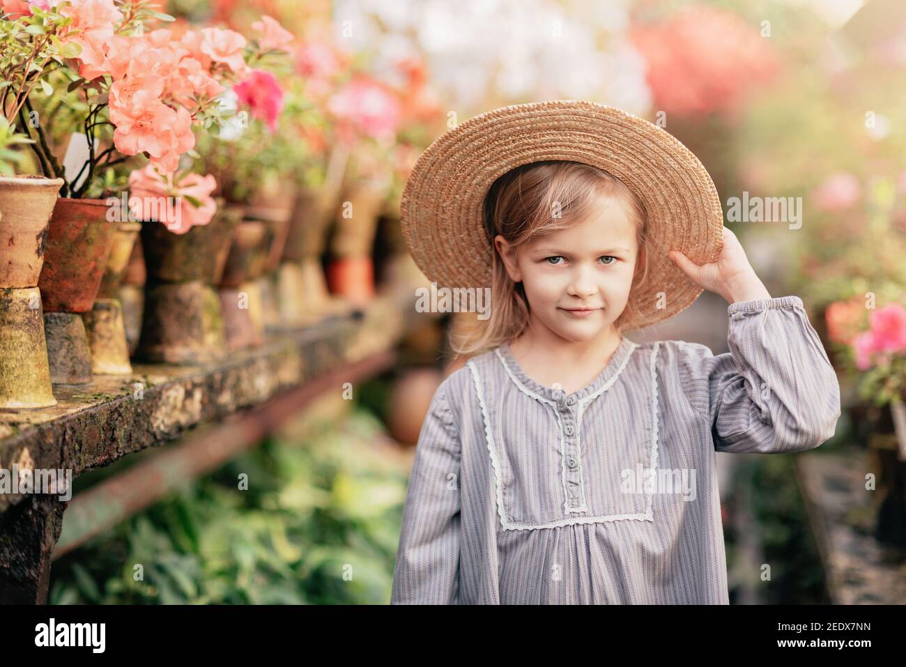 Child planting spring flowers. Little girl gardener plants azalea. Girl ...
