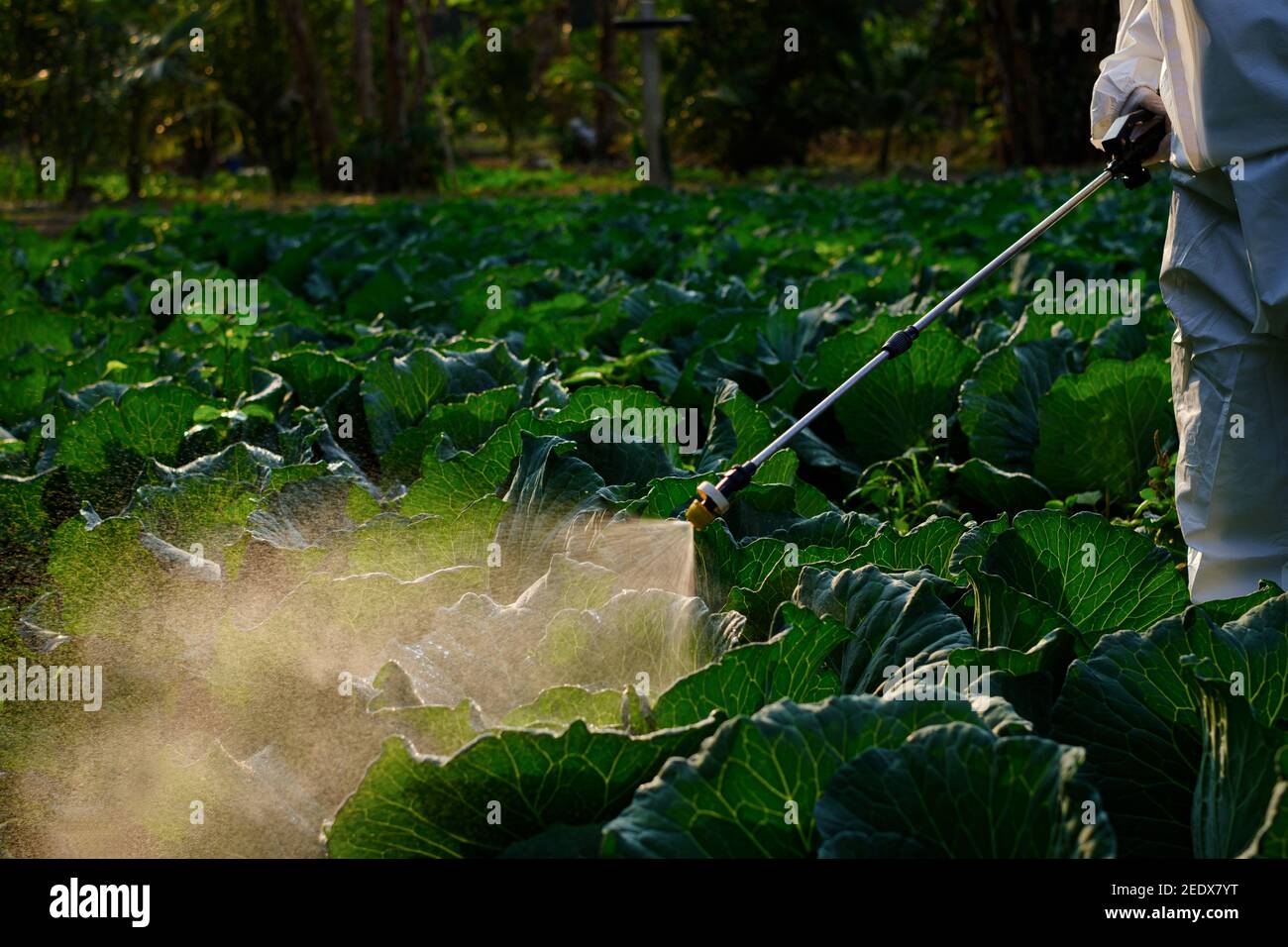 Sprinkle fertilizer hi-res stock photography and images - Alamy