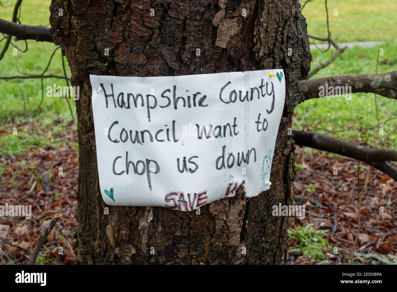 Trees being cut down hi-res stock photography and images - Alamy