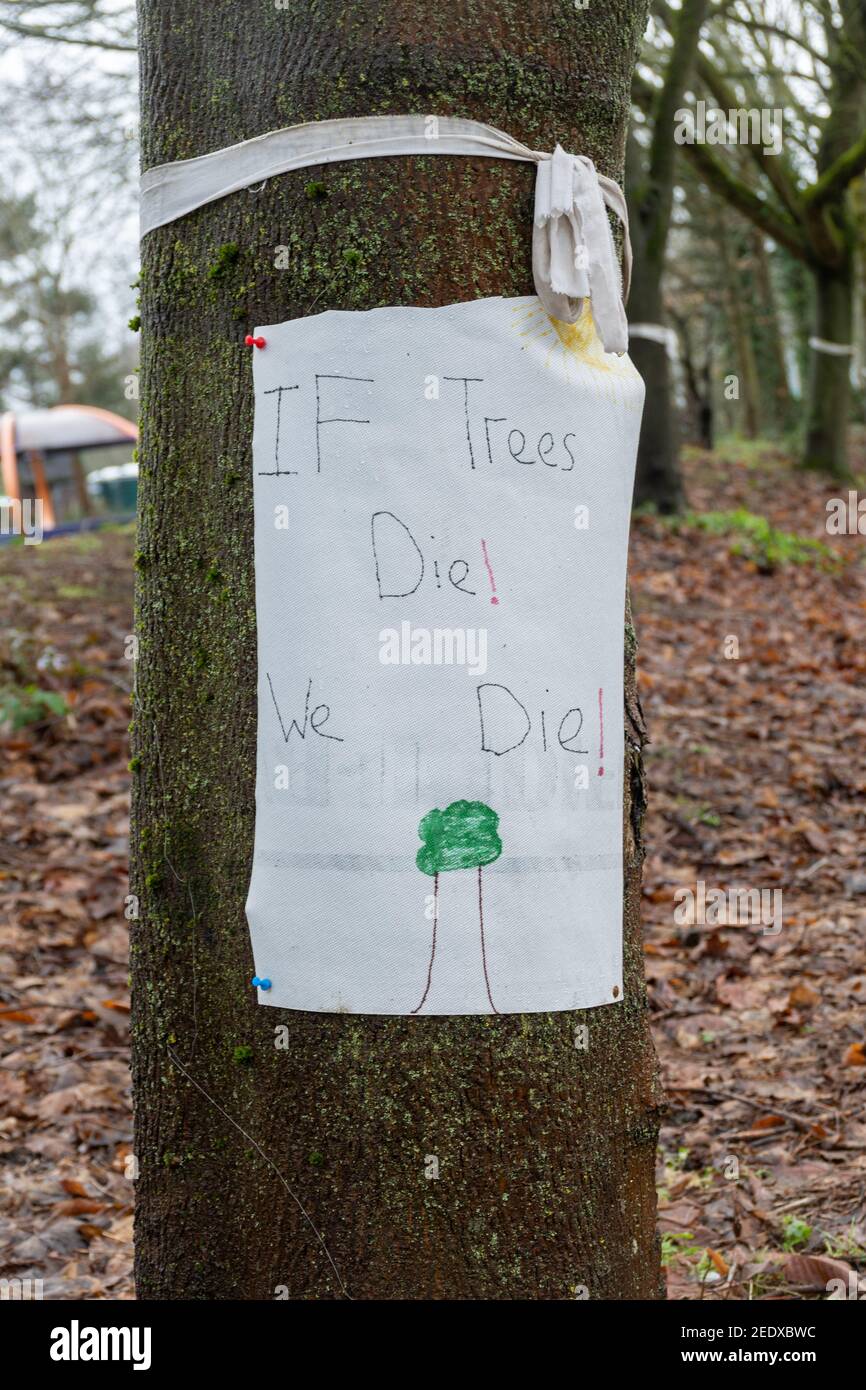 Trees being cut down hi-res stock photography and images - Alamy