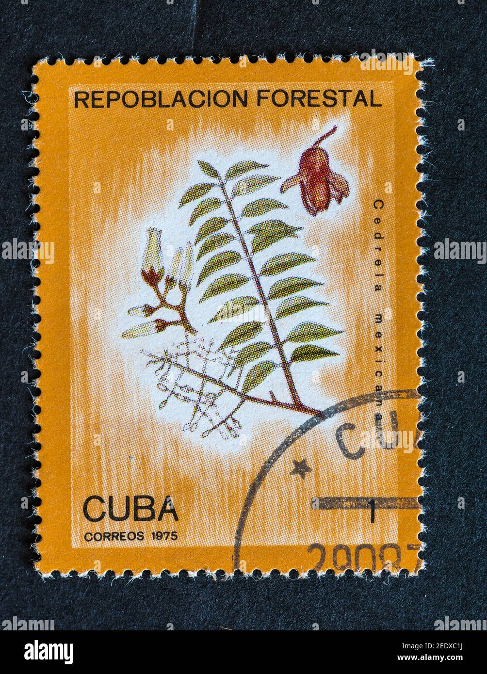 Old vintage Cuban postal stamps Stock Photo - Alamy