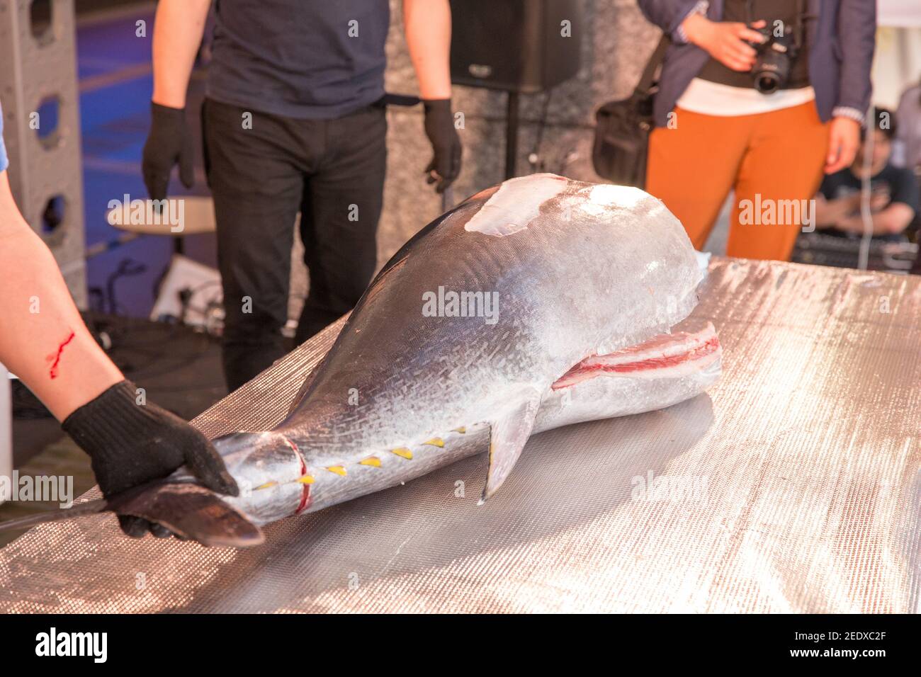 Japanese tuna dismantling show held at Hakata Station Stock Photo - Alamy