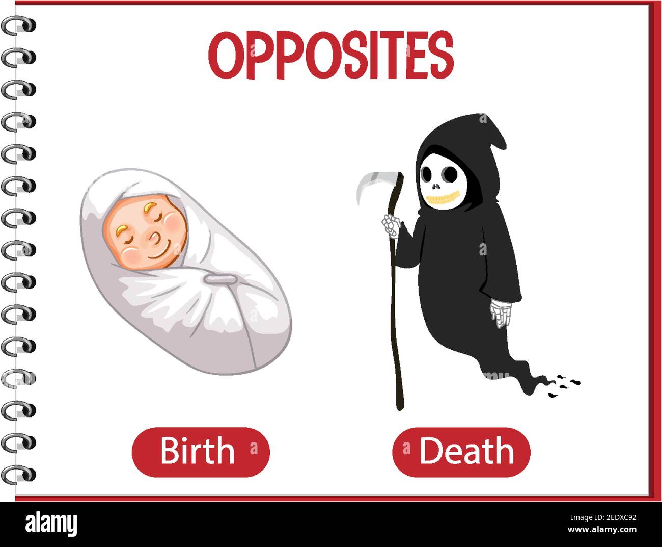 Opposite words with birth and death illustration Stock Vector Image ...