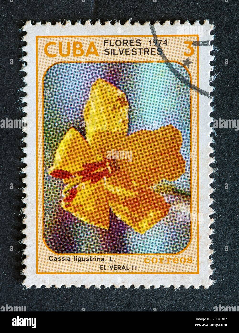 Old vintage Cuban postal stamps about flowers Stock Photo - Alamy