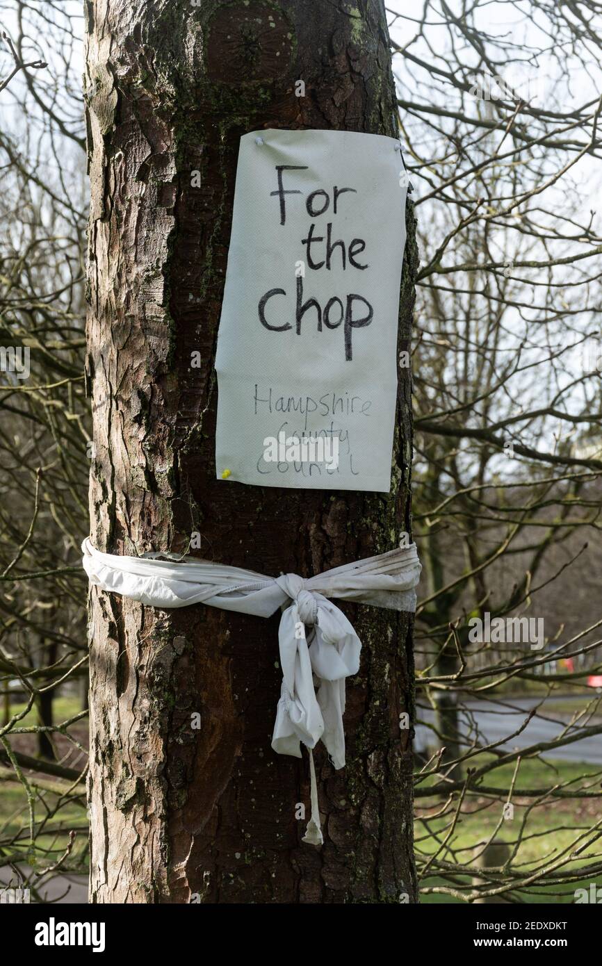 Stop sign with trees hi-res stock photography and images - Alamy