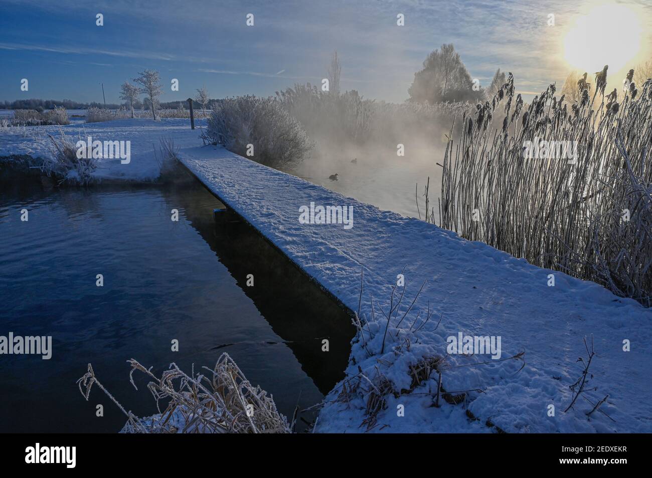 Foggy winter pond hi-res stock photography and images - Alamy