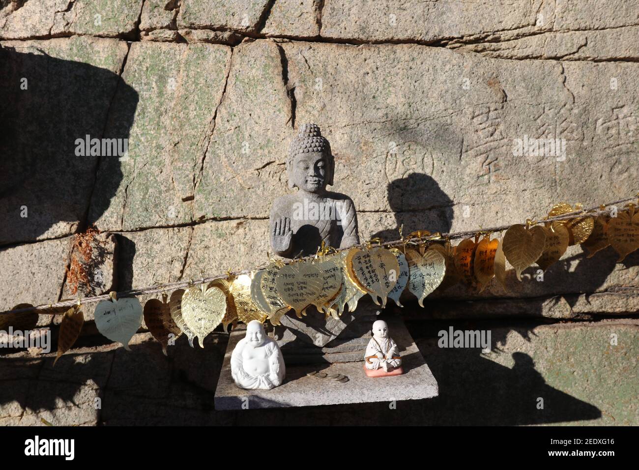 Dodam hi-res stock photography and images - Alamy