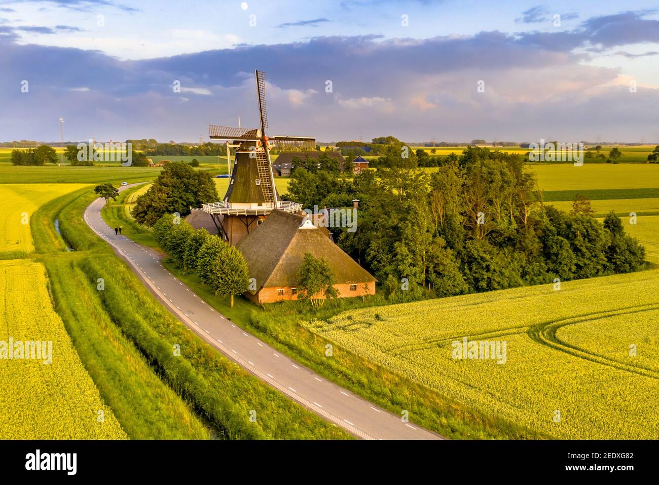 Historic windmill at a farm in agricultural landscape on the ...