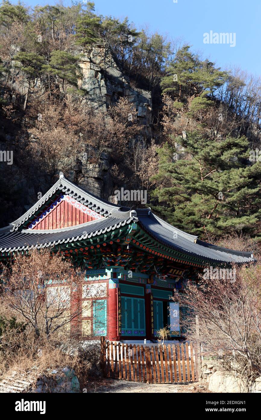 Dodam hi-res stock photography and images - Alamy