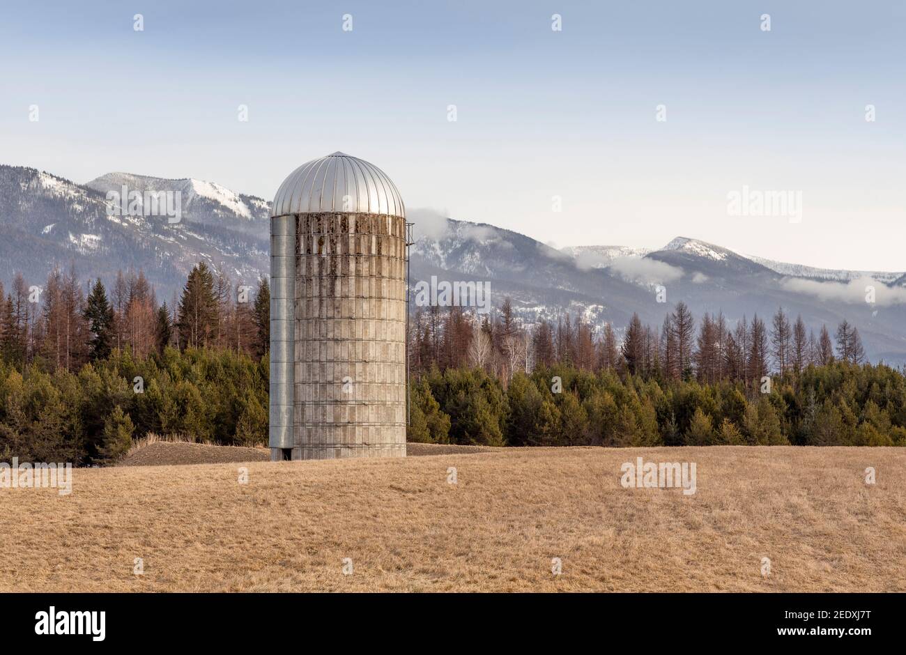 An old concrete tower silo on a farm, near Iron Creek, outside of Troy ...