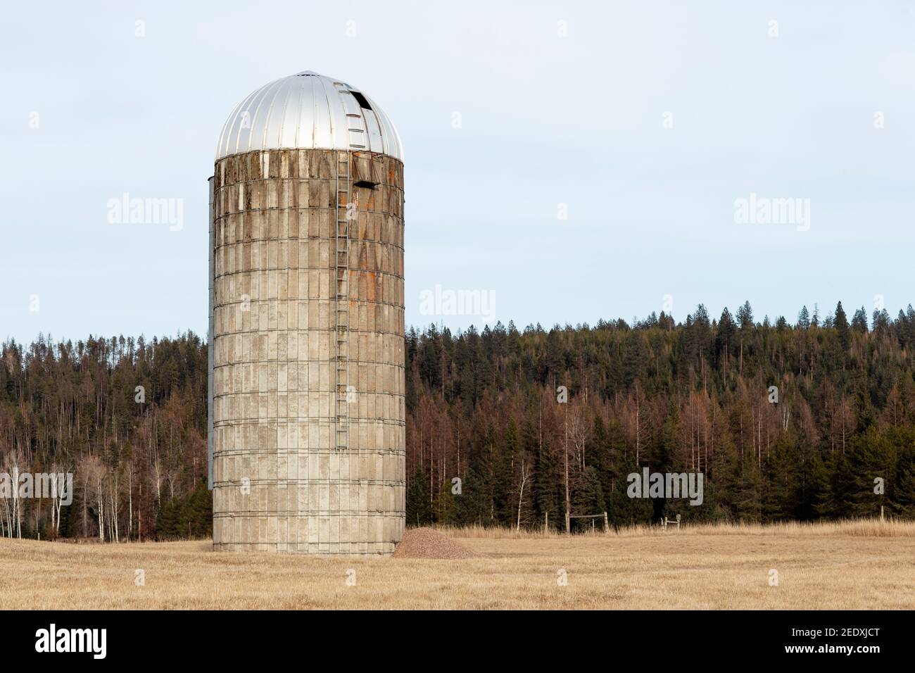 An old concrete tower silo on a farm, near Iron Creek, outside of Troy ...